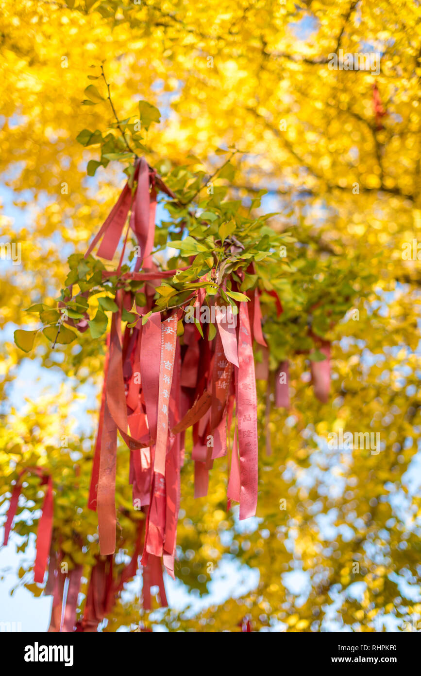 Buddhist prayer ribbon hi-res stock photography and images - Alamy