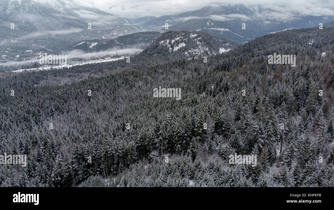Aerial of snowy tree tops Stock Photo - Alamy
