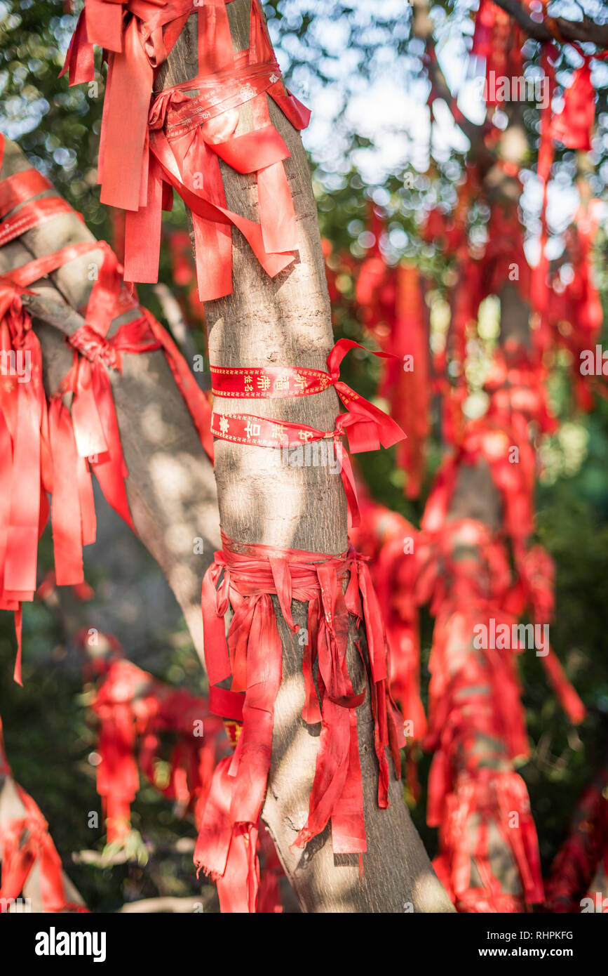 Prayer ribbon hi-res stock photography and images - Alamy