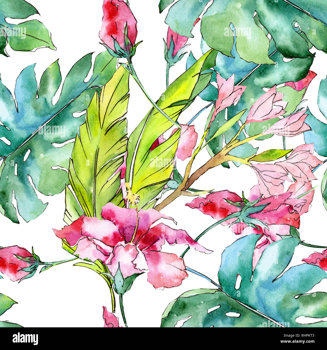 Pink exotic tropical hawaiian floral flower. Watercolor illustration ...