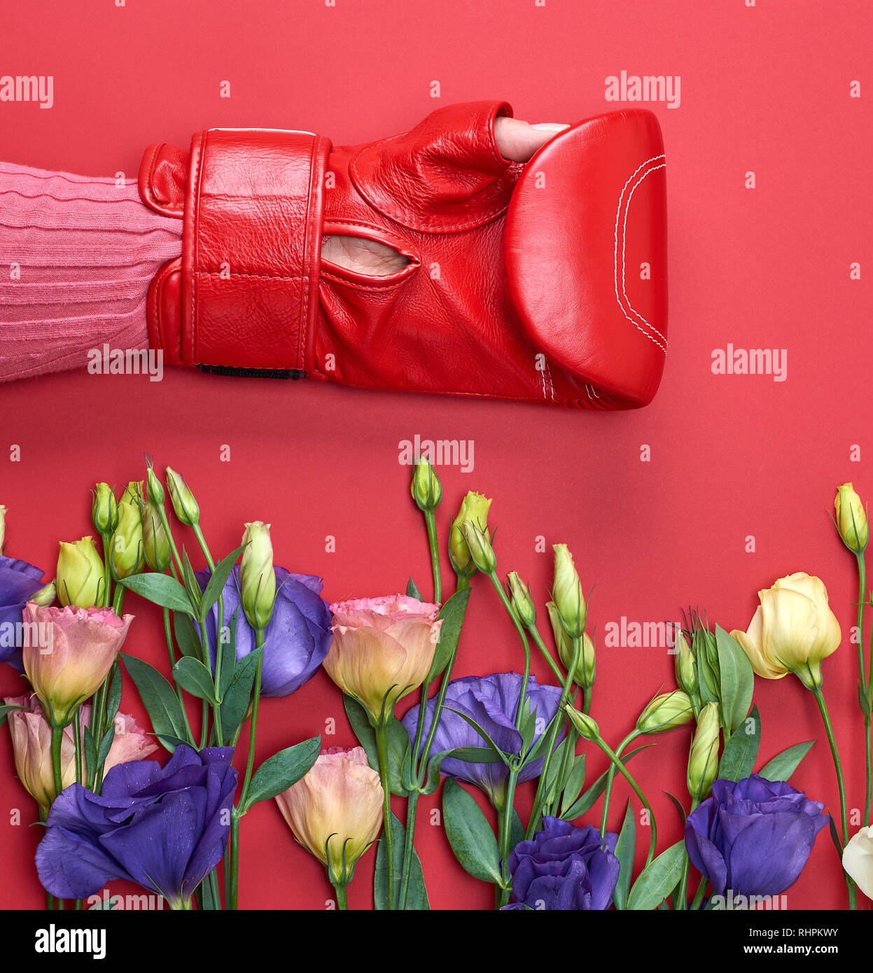 hand in a red boxing glove and bouquet of flowers Eustoma Lisianthus on ...