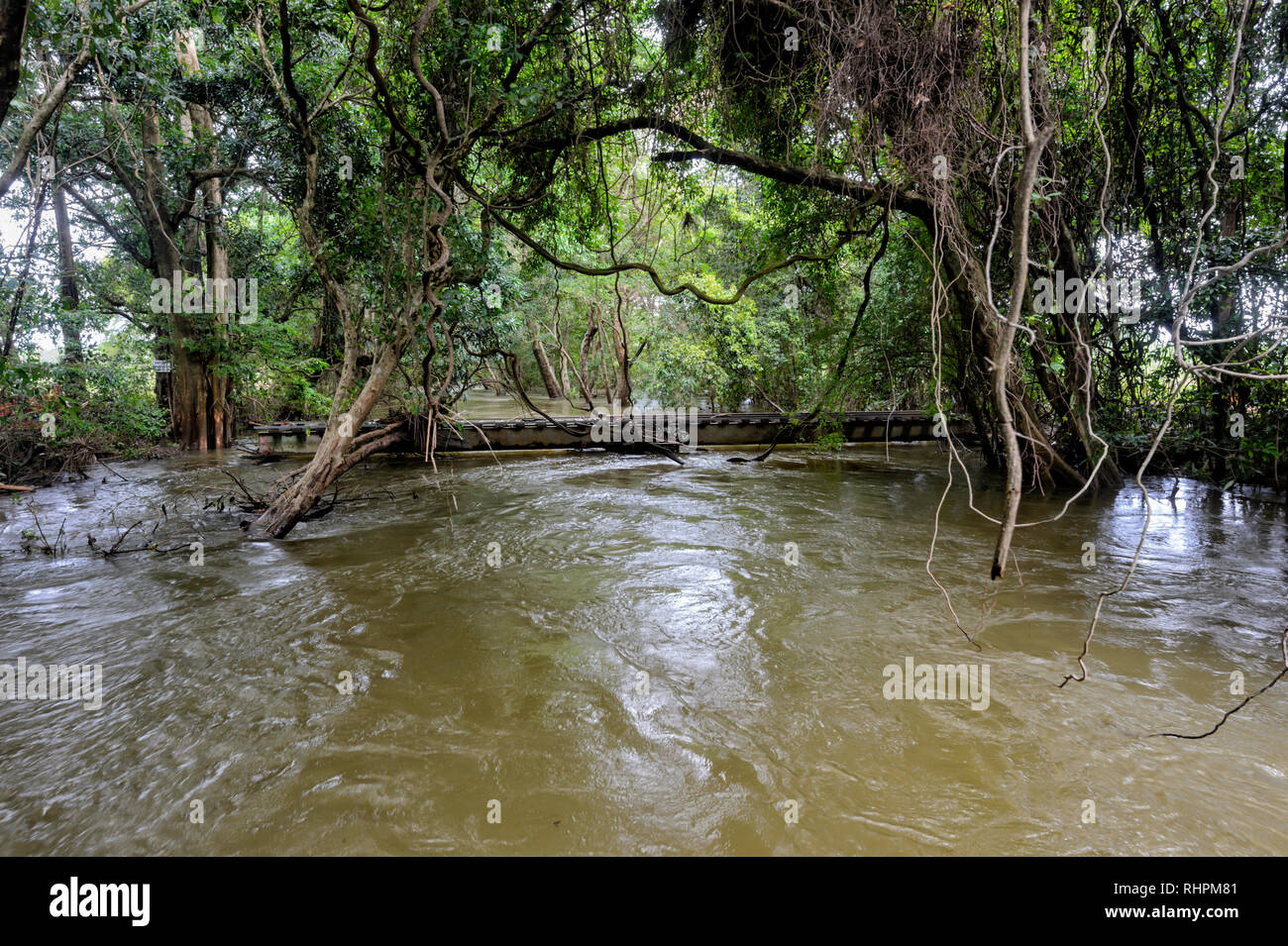 Sugarcane railway hi-res stock photography and images - Alamy