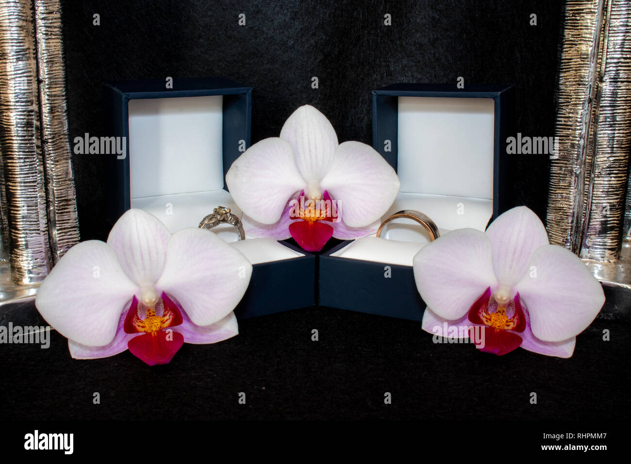 Ring of flowers isolated hi-res stock photography and images - Alamy