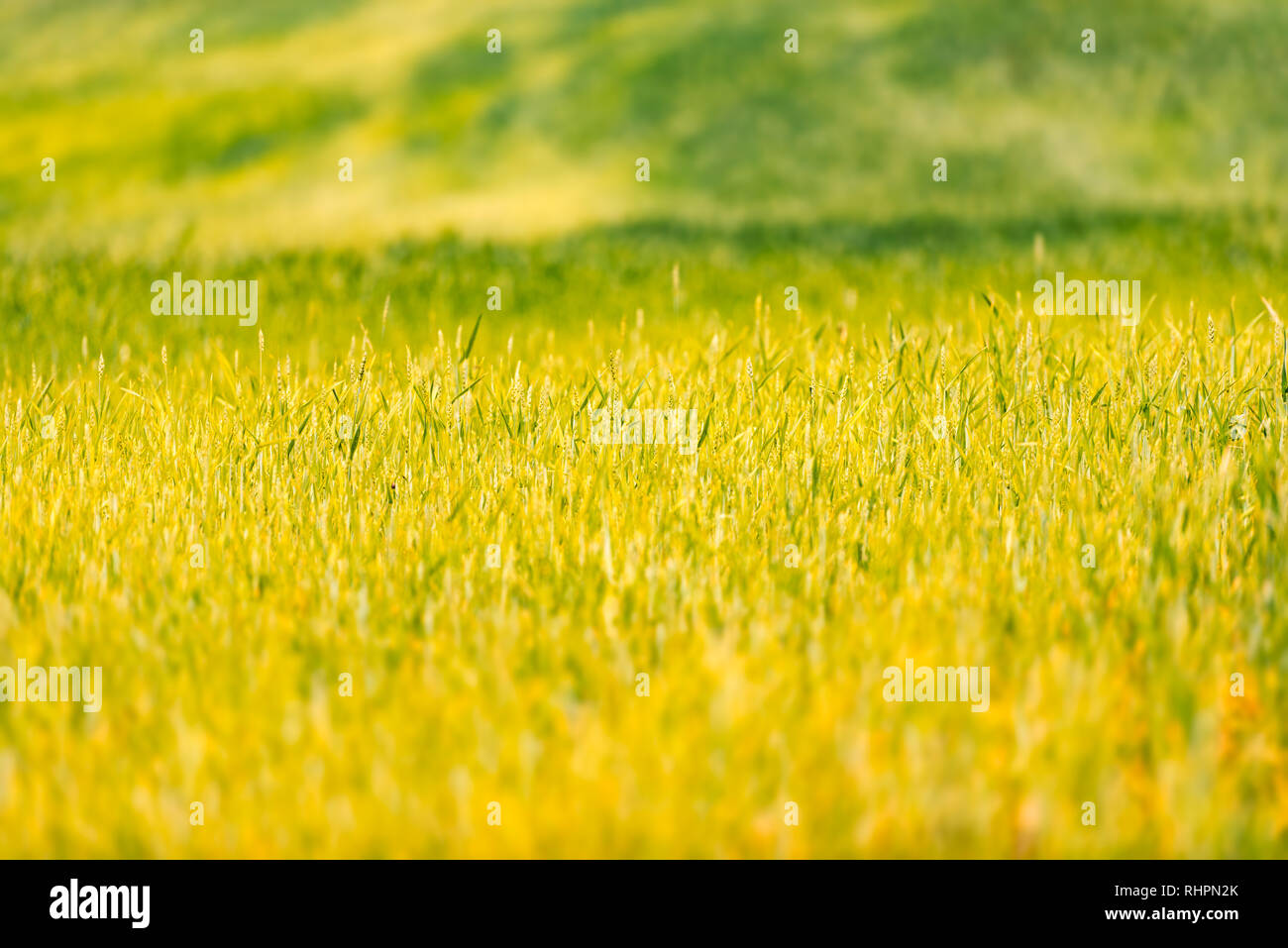 Rural scene in belarus hi-res stock photography and images - Alamy