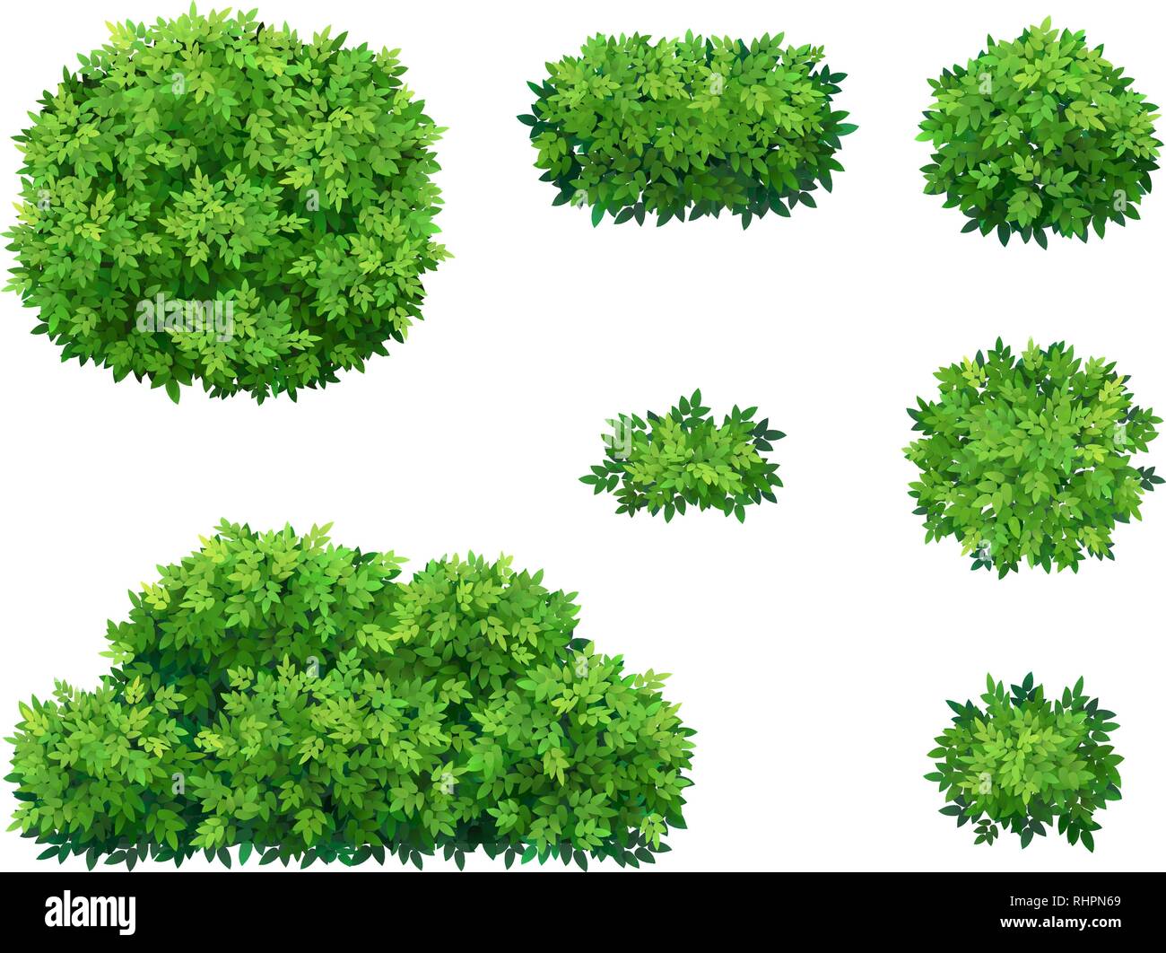 Green bushes and tree crown Stock Vector Image & Art - Alamy