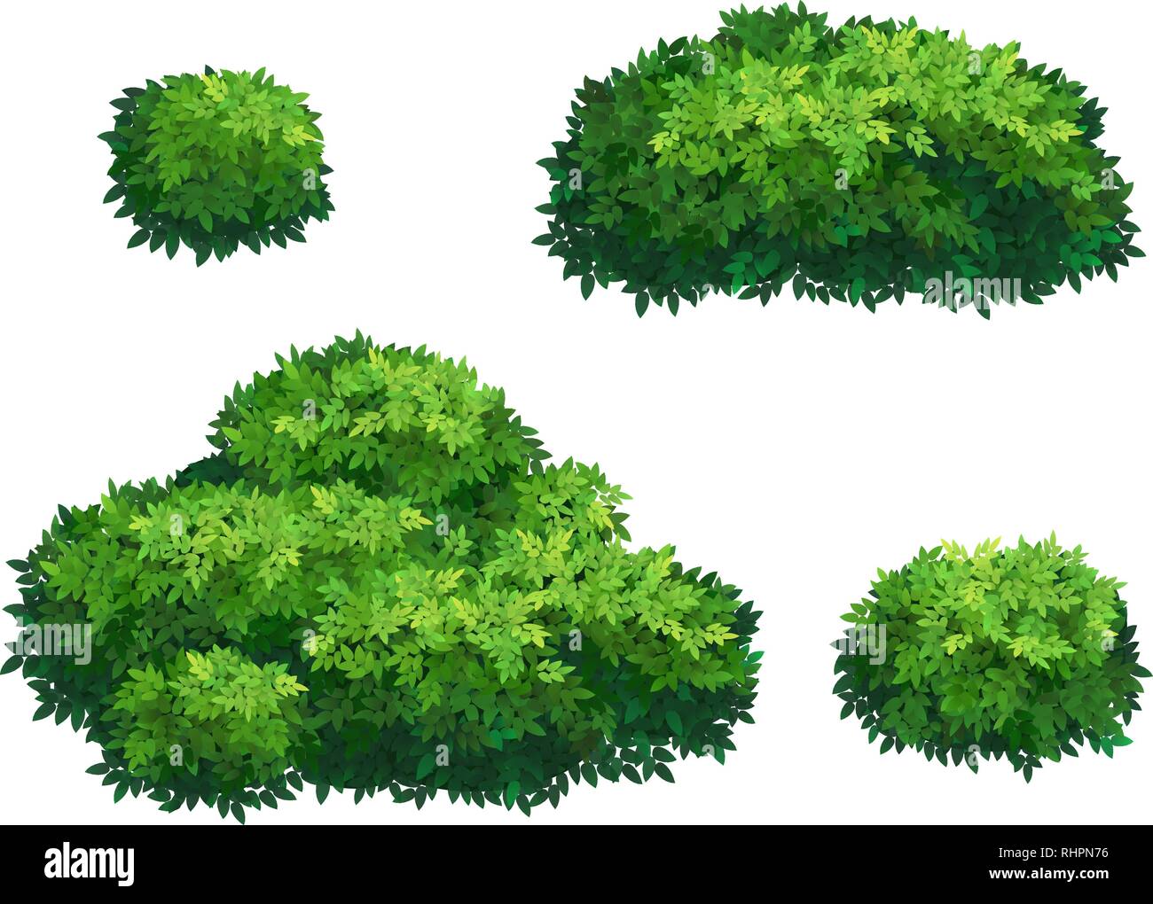 Green tree leaf isolated Stock Vector Images - Alamy