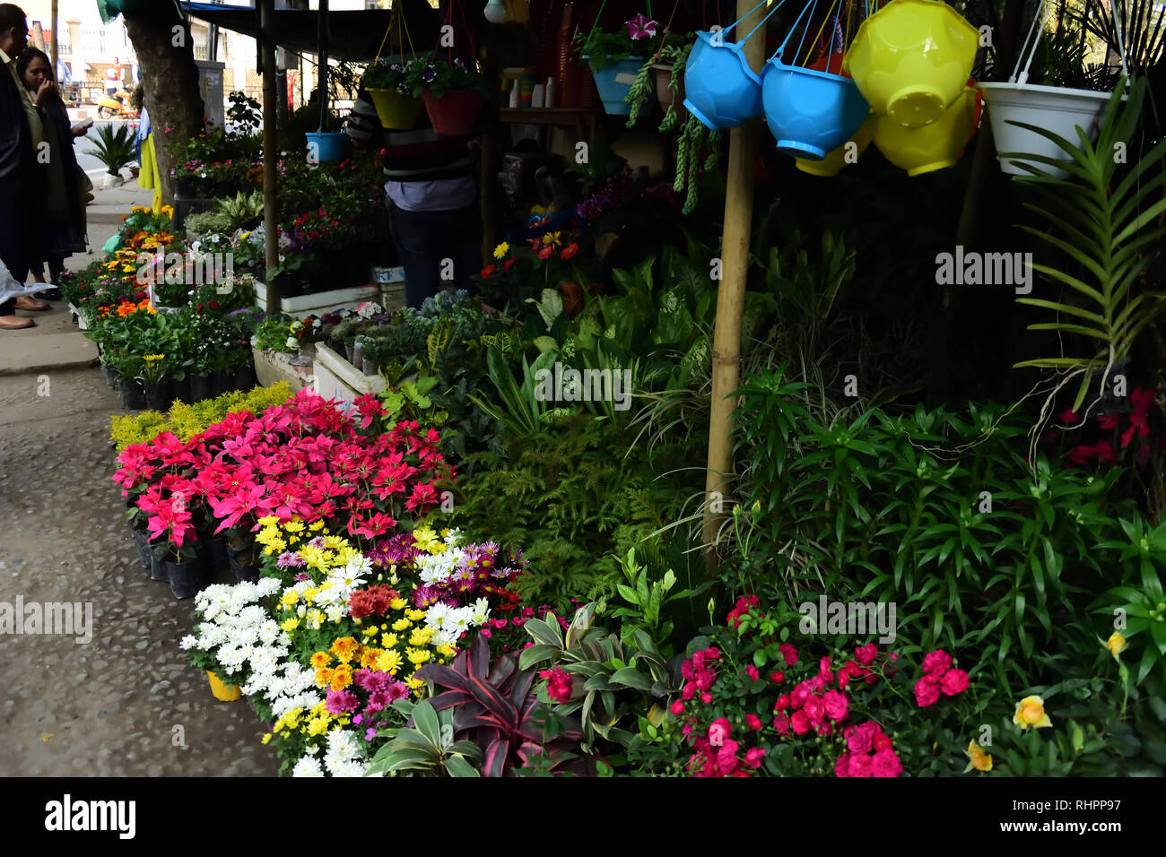 A beautiful flower market Stock Photo - Alamy