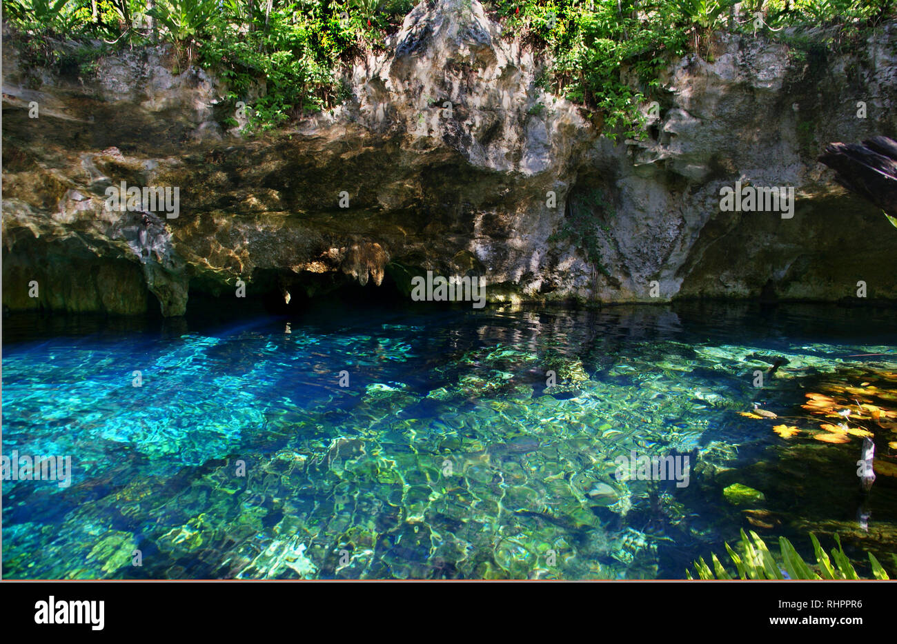 Gran cenote mexico hi-res stock photography and images - Alamy