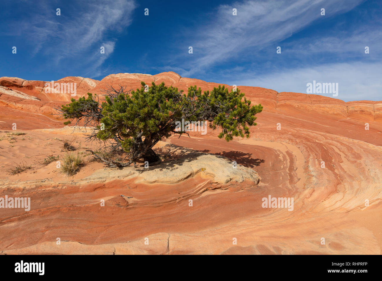 Striped rocks hi-res stock photography and images - Alamy