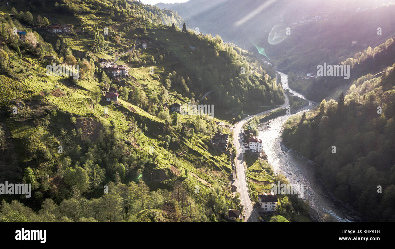 Aerial drone view tea hi-res stock photography and images - Alamy