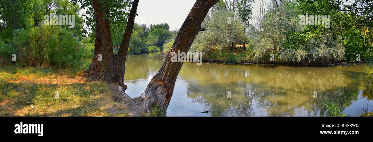 Views of Jordan River Trail with surrounding trees, Russian Olive ...