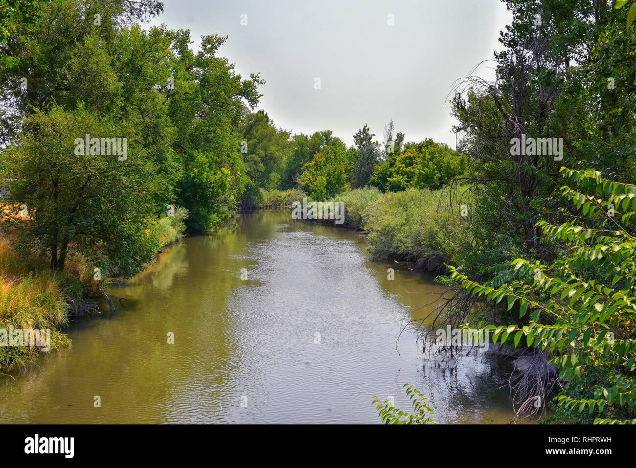 Views of Jordan River Trail with surrounding trees, Russian Olive ...