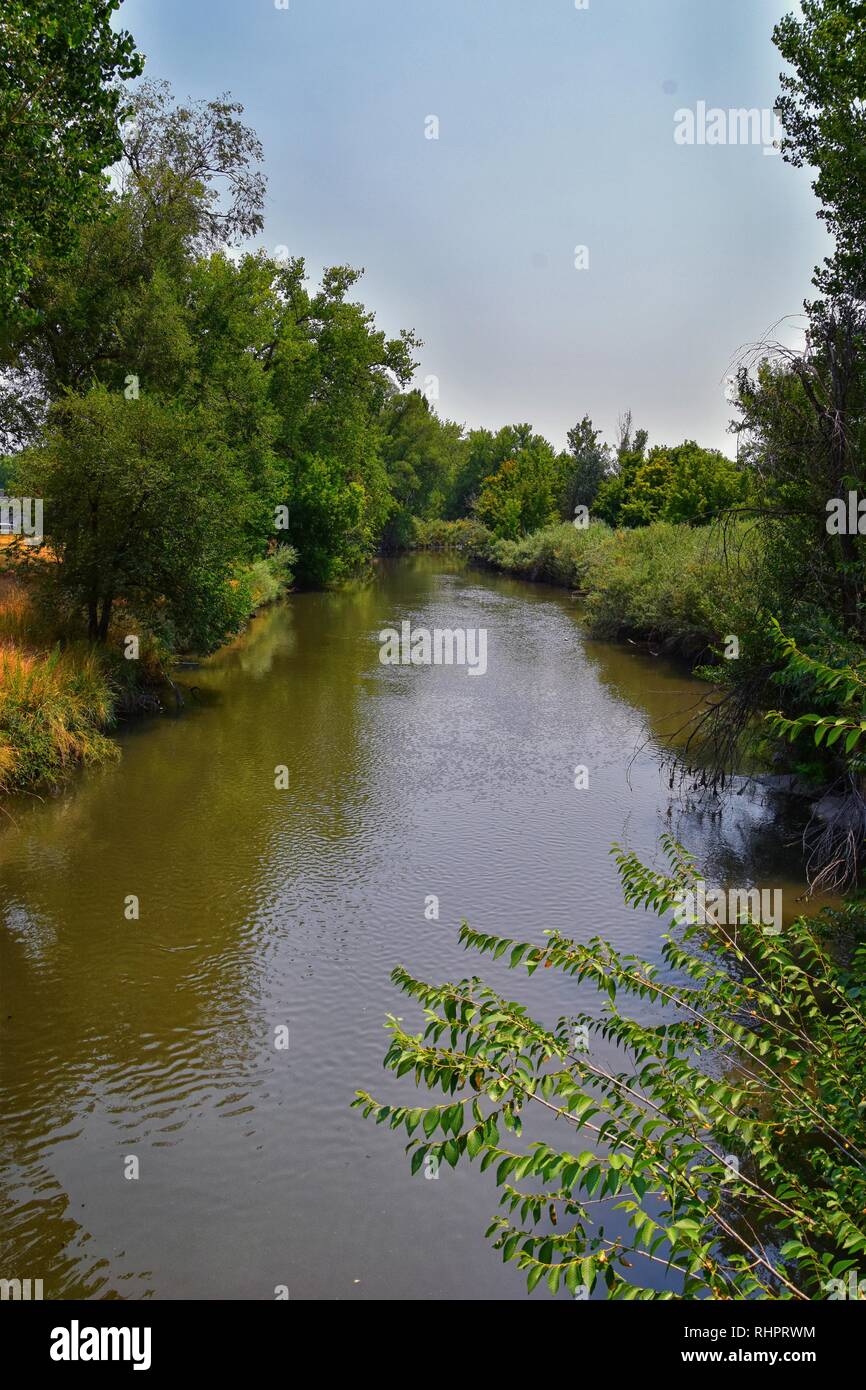Views of Jordan River Trail with surrounding trees, Russian Olive ...