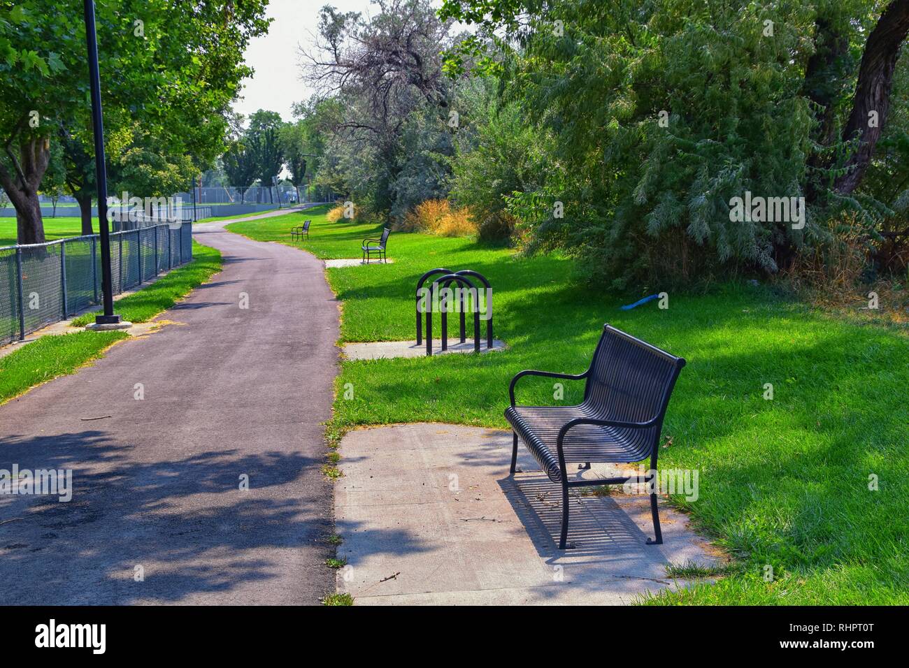 Views of Jordan River Trail with surrounding trees, Russian Olive ...