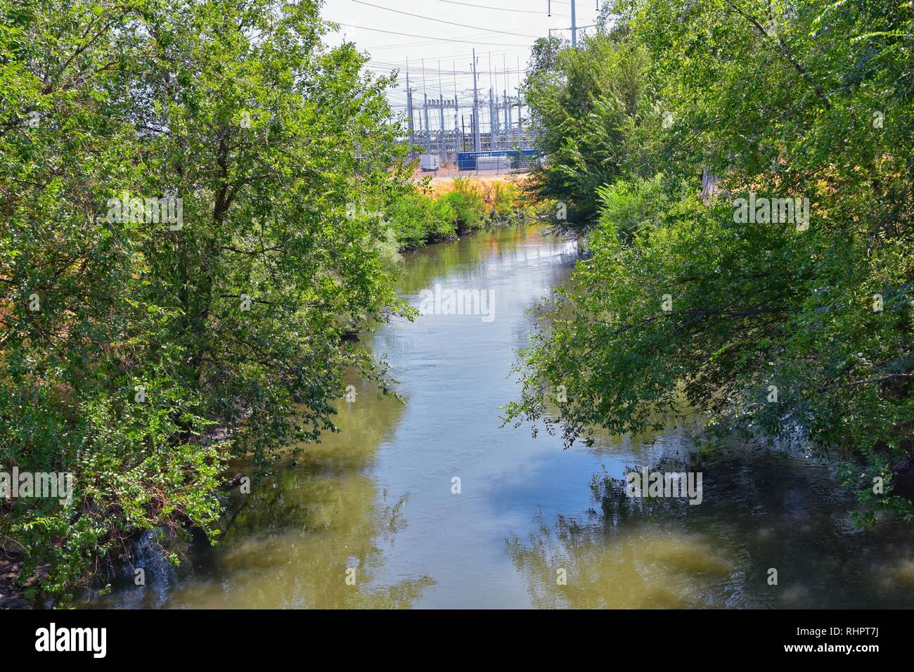 Views of Jordan River Trail with surrounding trees, Russian Olive ...