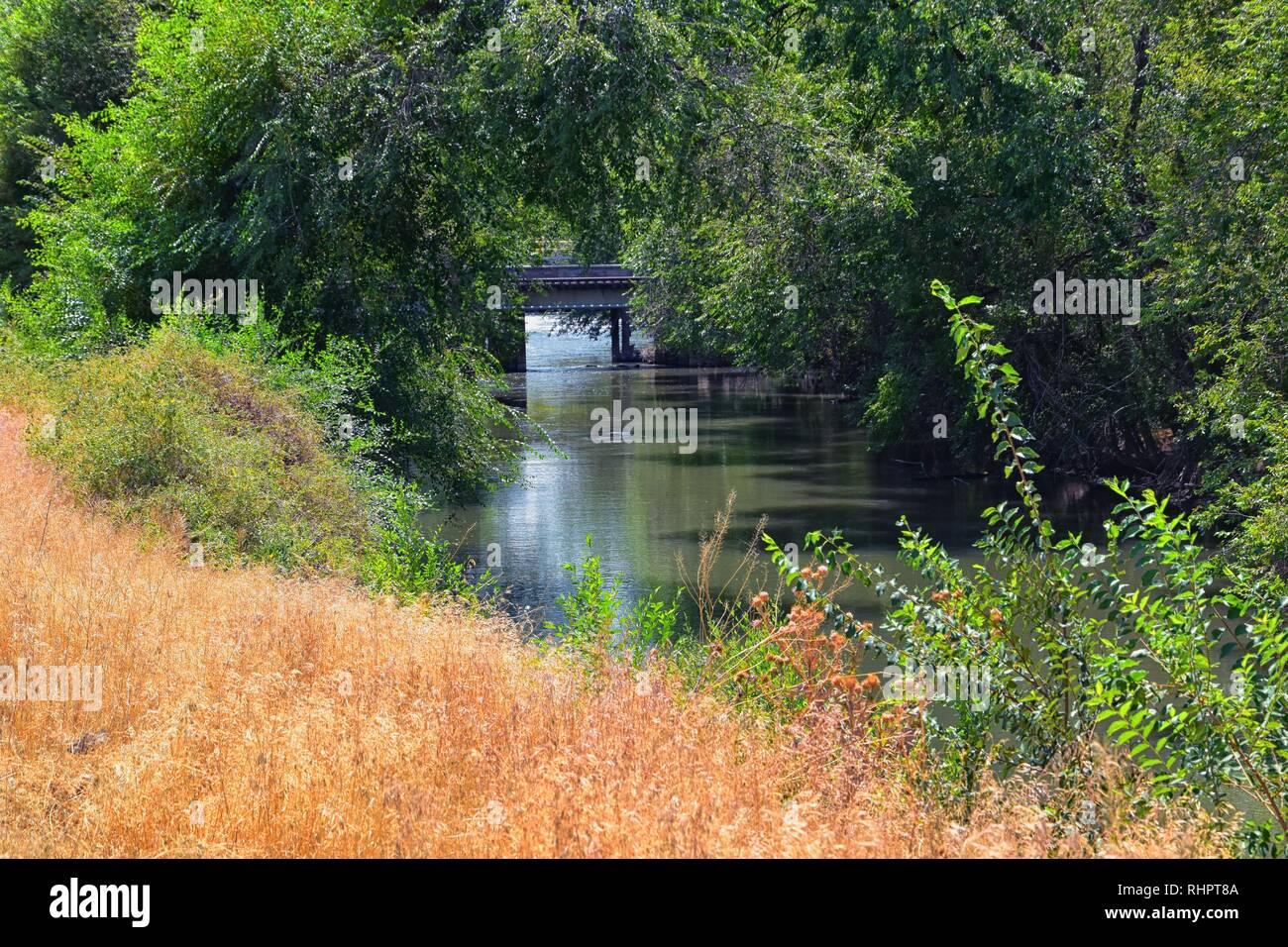 Views of Jordan River Trail with surrounding trees, Russian Olive ...
