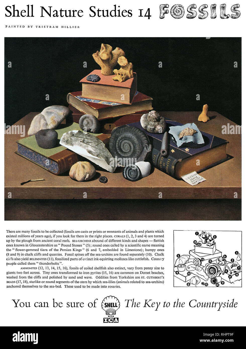 1956 series hi-res stock photography and images - Alamy