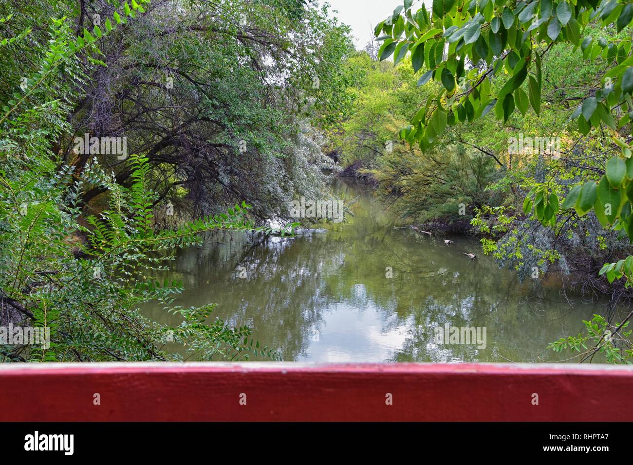 Views of Jordan River Trail with surrounding trees, Russian Olive ...