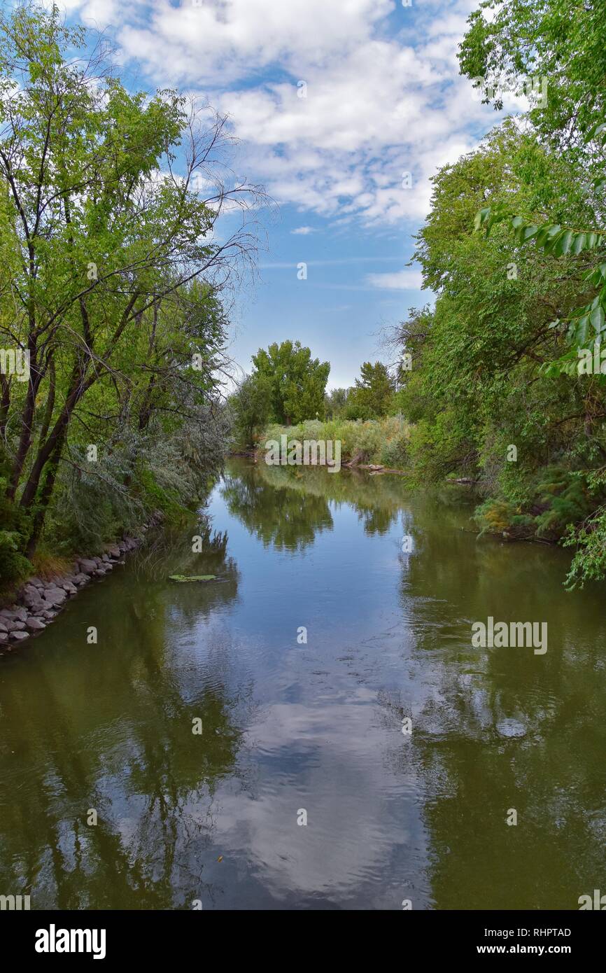 Views of Jordan River Trail with surrounding trees, Russian Olive ...