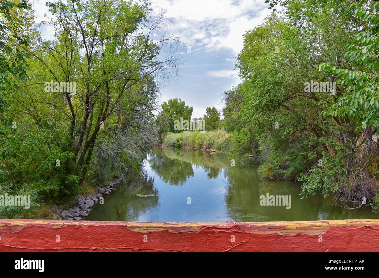 Views of Jordan River Trail with surrounding trees, Russian Olive ...