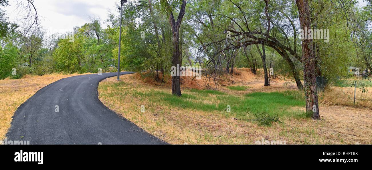 Views of Jordan River Trail with surrounding trees, Russian Olive ...