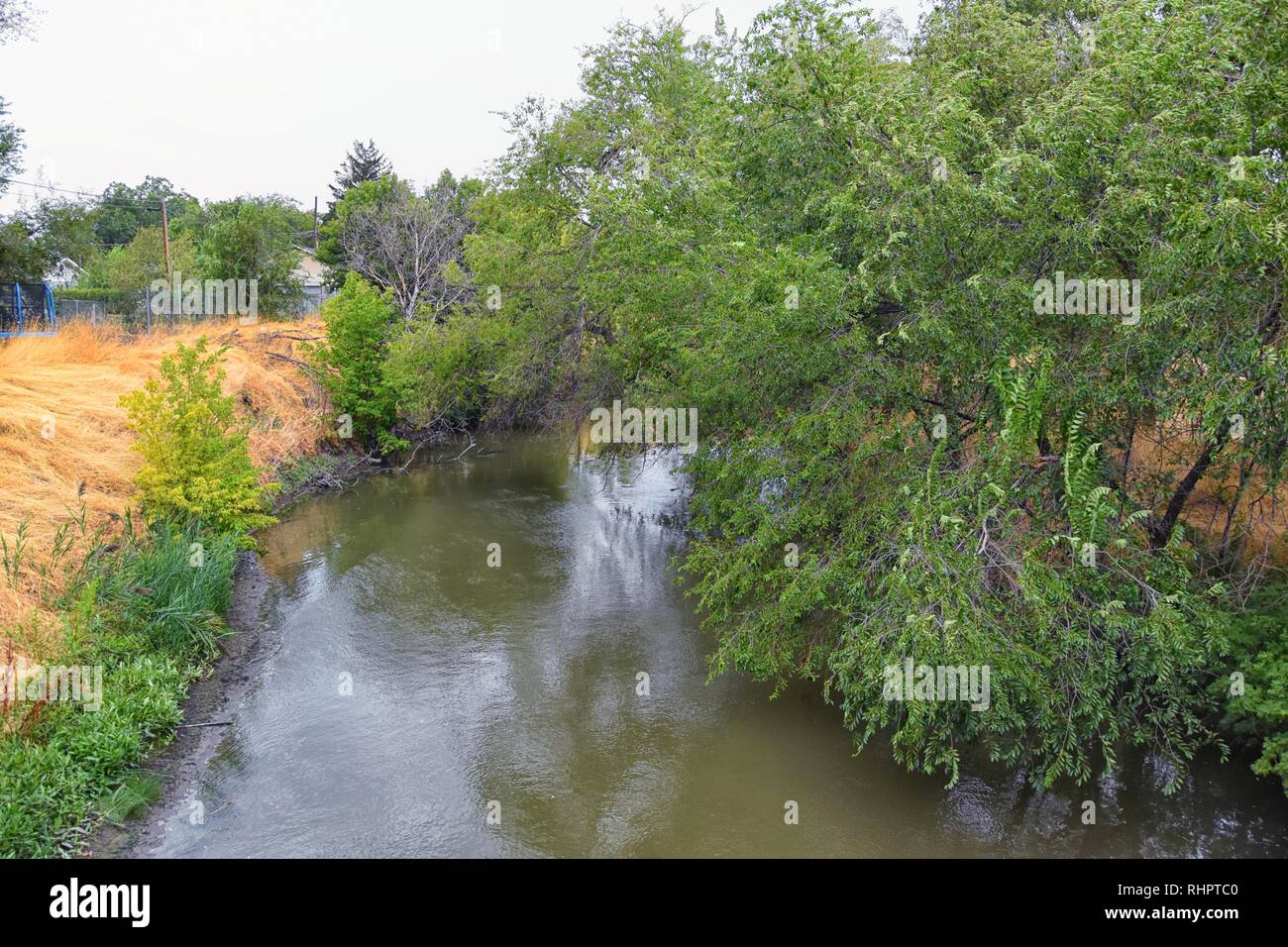 Views of Jordan River Trail with surrounding trees, Russian Olive ...