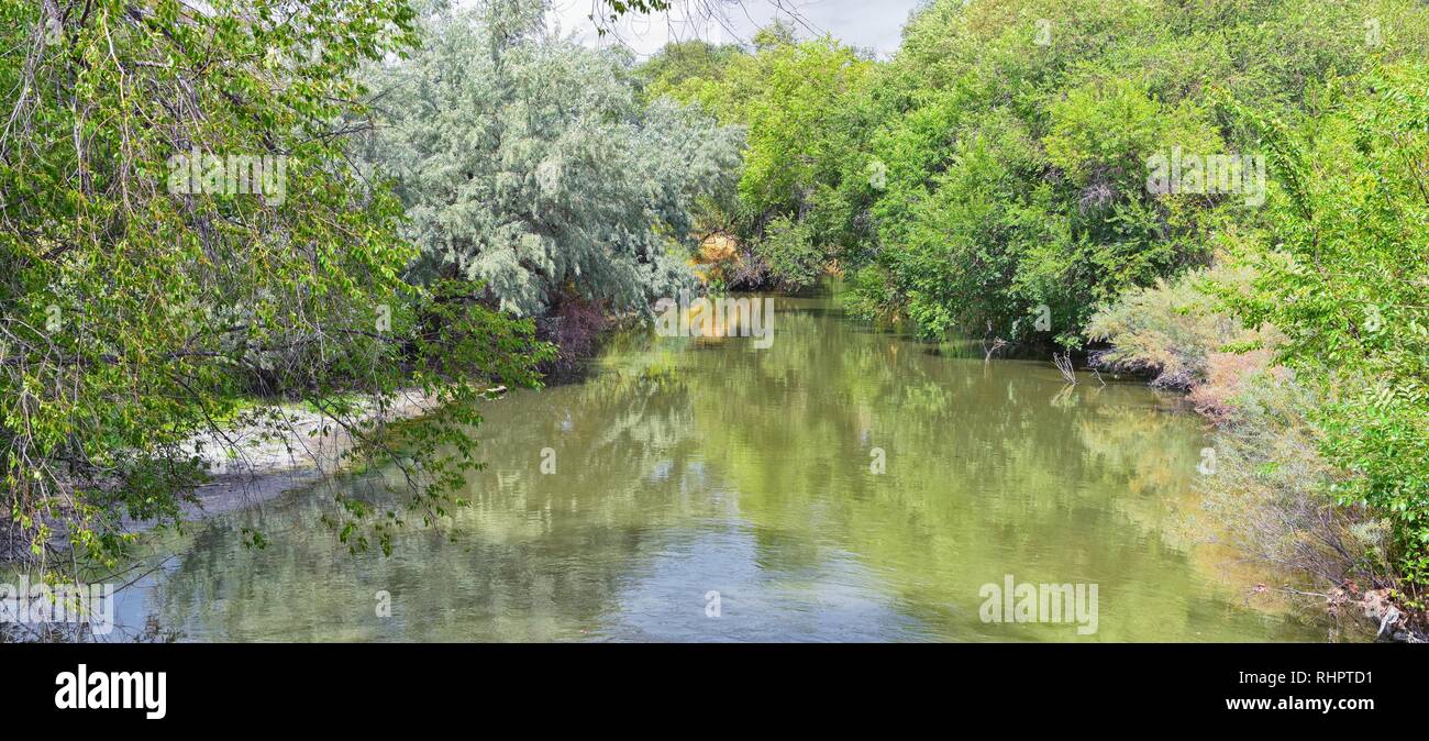 Views of Jordan River Trail with surrounding trees, Russian Olive ...