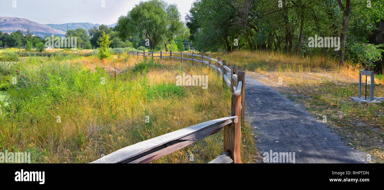 Views of Jordan River Trail with surrounding trees, Russian Olive ...