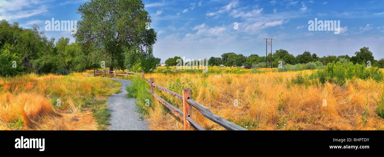 Views of Jordan River Trail with surrounding trees, Russian Olive ...