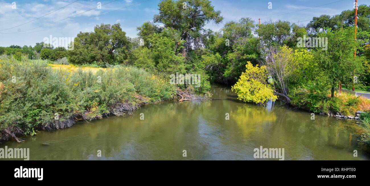 Views of Jordan River Trail with surrounding trees, Russian Olive ...