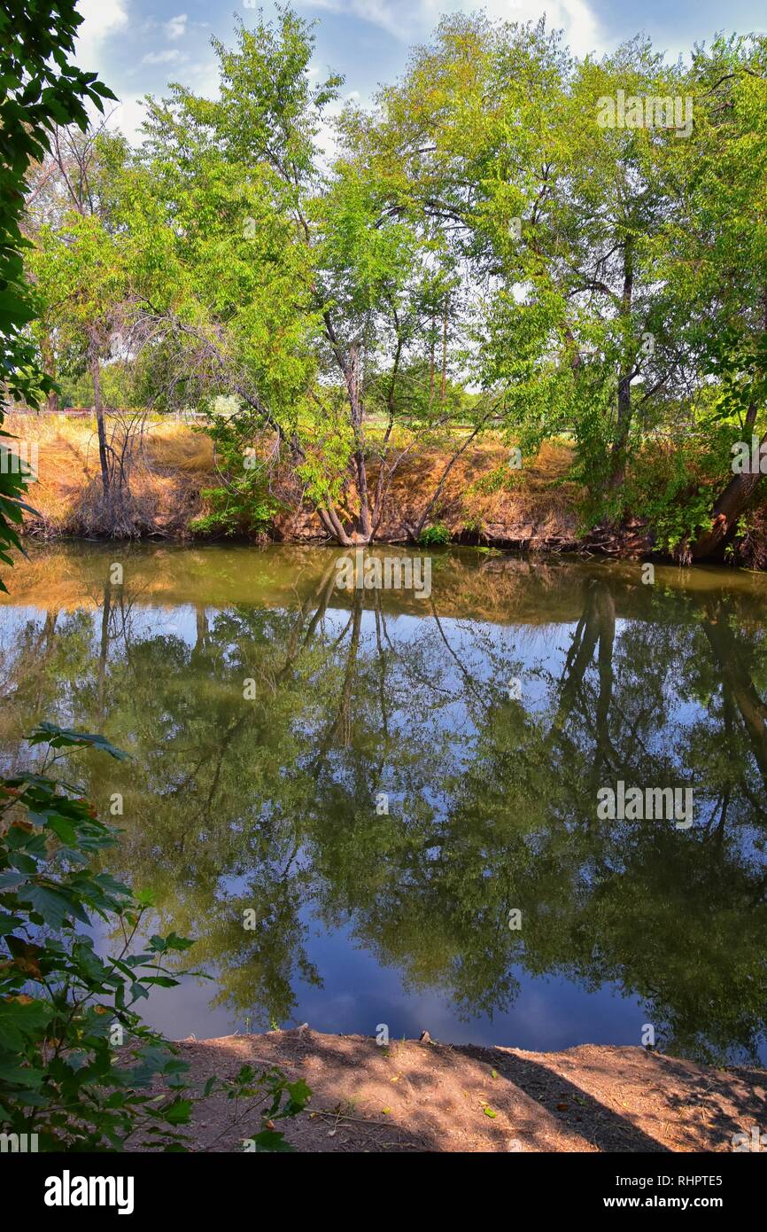 Views of Jordan River Trail with surrounding trees, Russian Olive ...