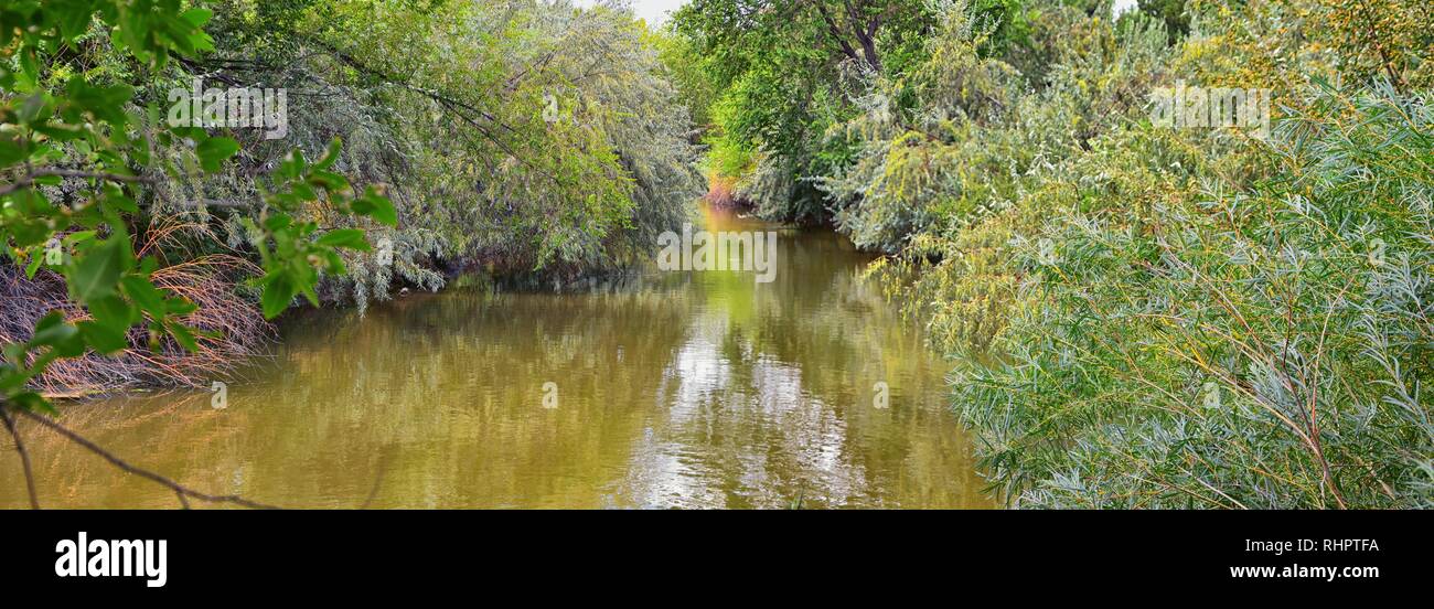 Views of Jordan River Trail with surrounding trees, Russian Olive ...