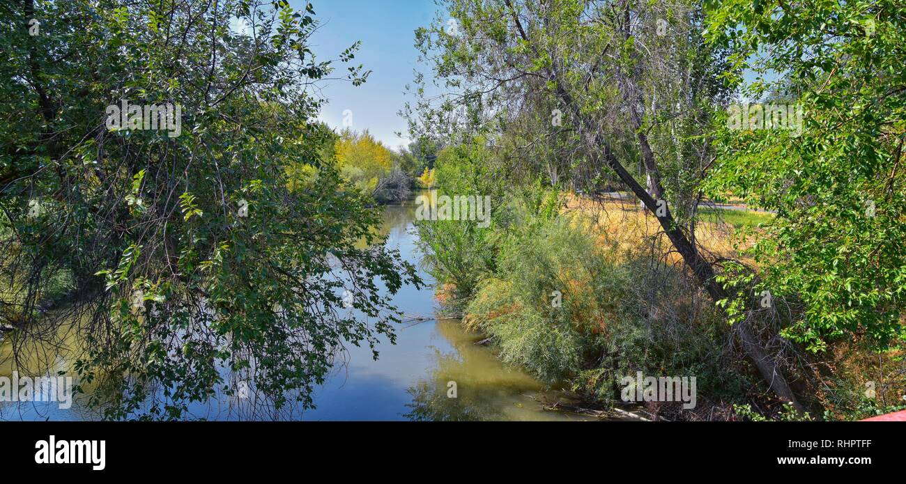 Views of Jordan River Trail with surrounding trees, Russian Olive ...