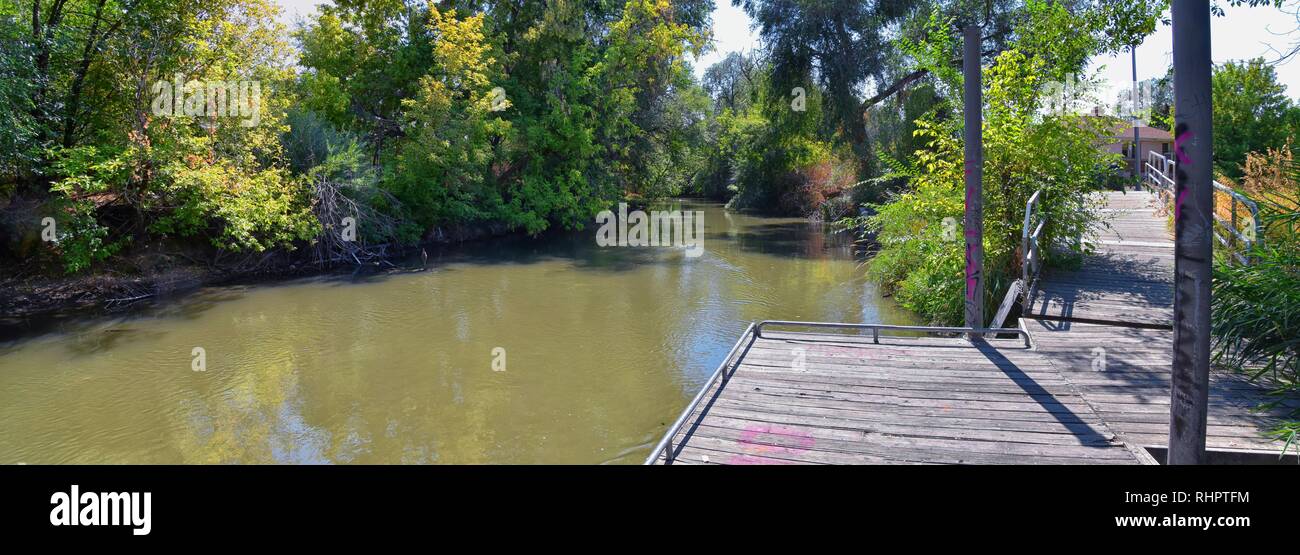 Views of Jordan River Trail with surrounding trees, Russian Olive ...