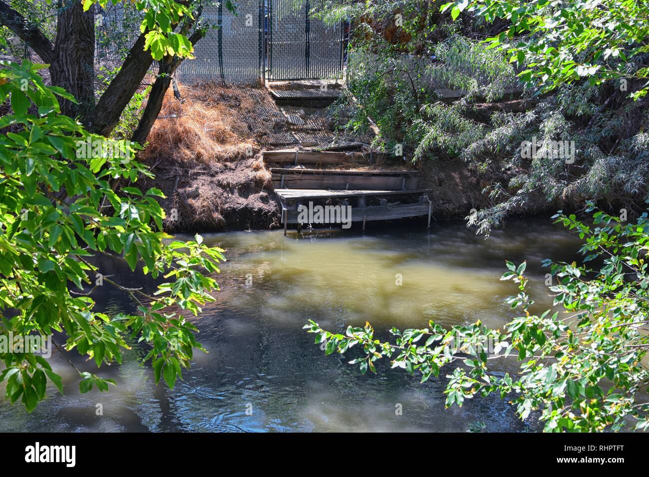 Views of Jordan River Trail with surrounding trees, Russian Olive ...