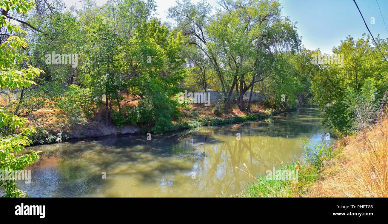 Views of Jordan River Trail with surrounding trees, Russian Olive ...