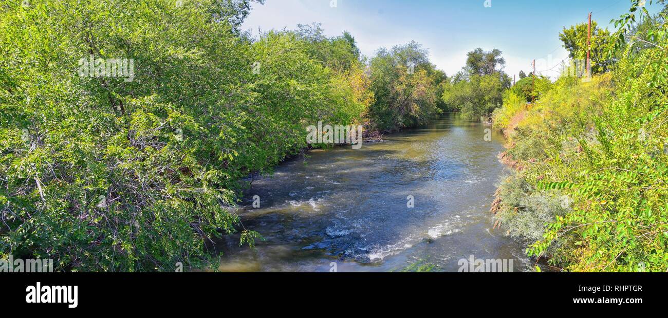 Views of Jordan River Trail with surrounding trees, Russian Olive ...