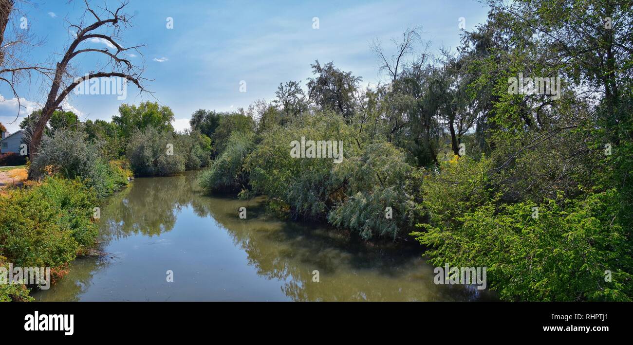 Views of Jordan River Trail with surrounding trees, Russian Olive ...