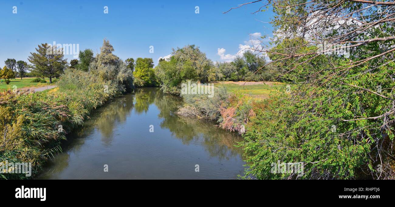 Views of Jordan River Trail with surrounding trees, Russian Olive ...