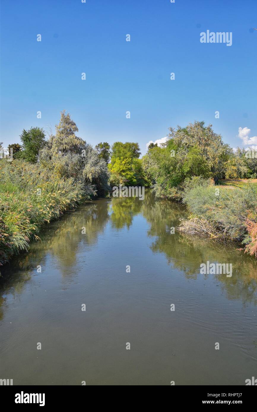 Views of Jordan River Trail with surrounding trees, Russian Olive ...