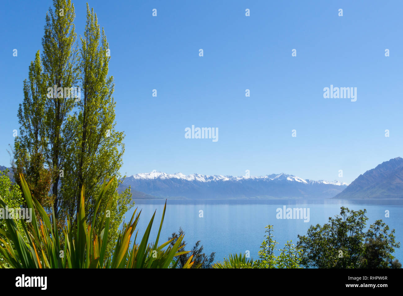 Lake Hawea view through native and exotic bush around the scenic lake ...