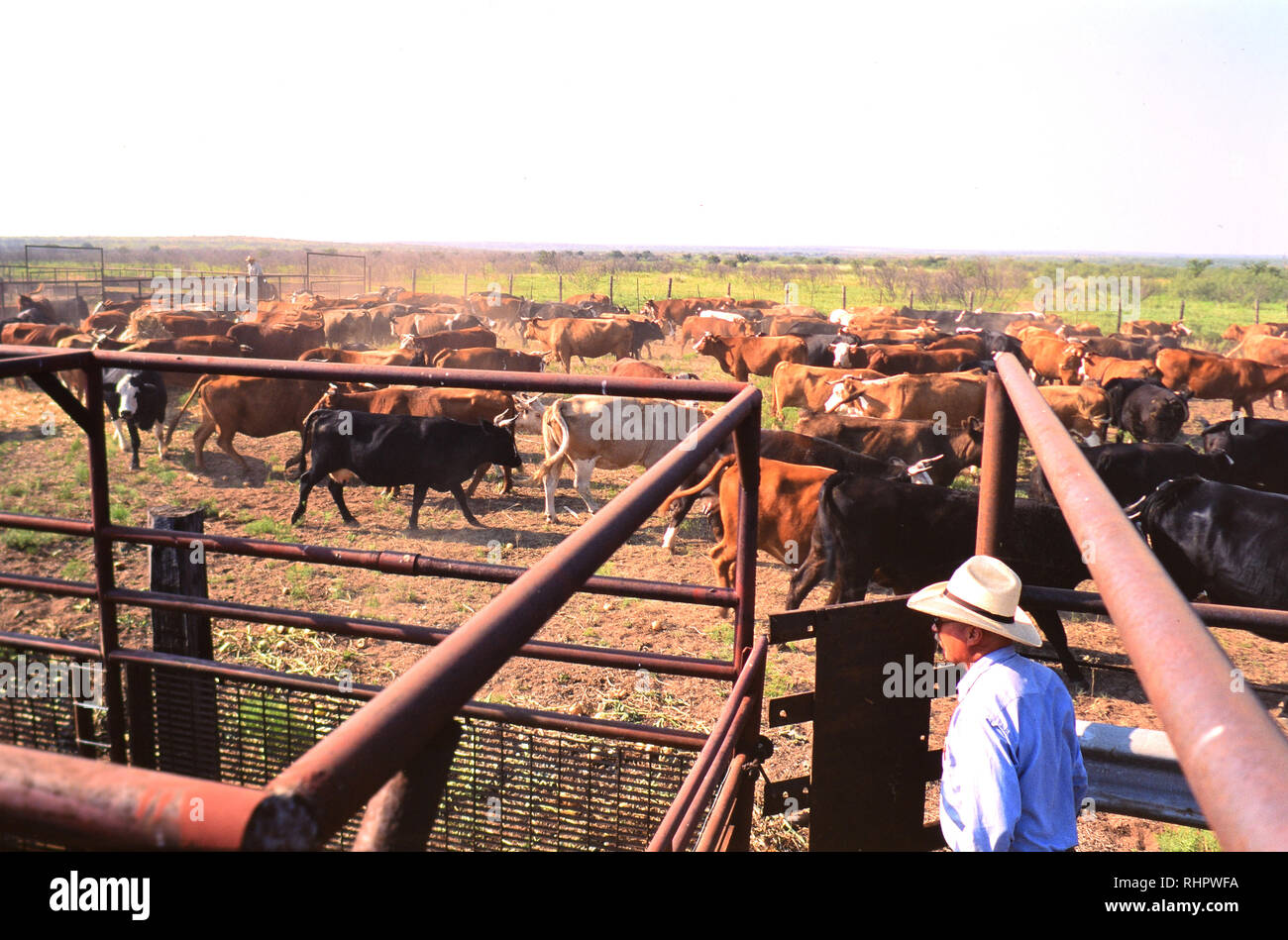 Real texas cowboys 1990s hi-res stock photography and images - Alamy