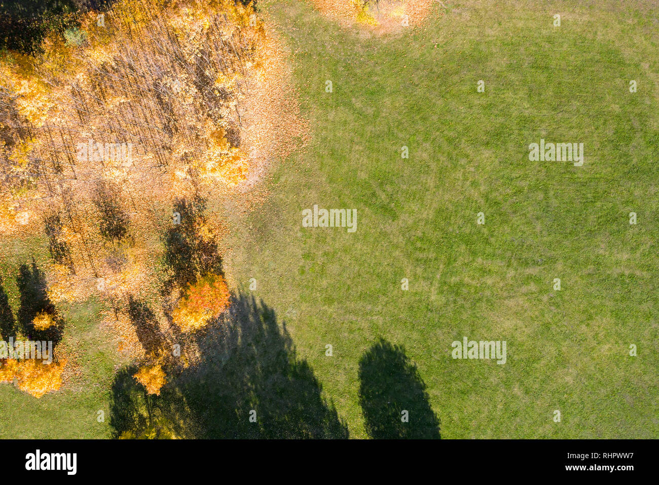 aerial top view of park green lawn with beautiful autumnal trees. drone ...