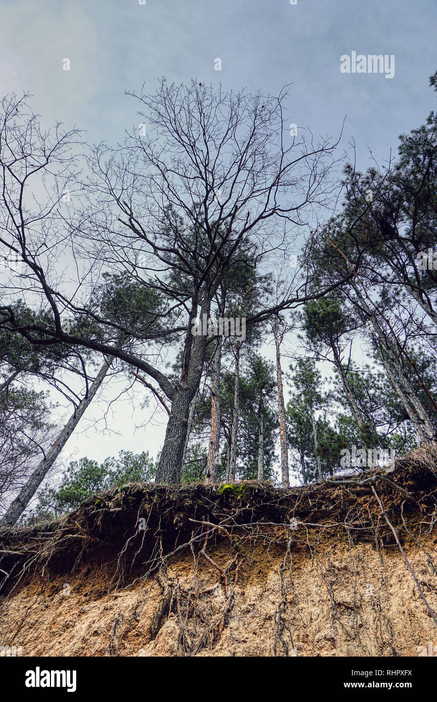 From Beyond The Grave High Resolution Stock Photography and Images - Alamy