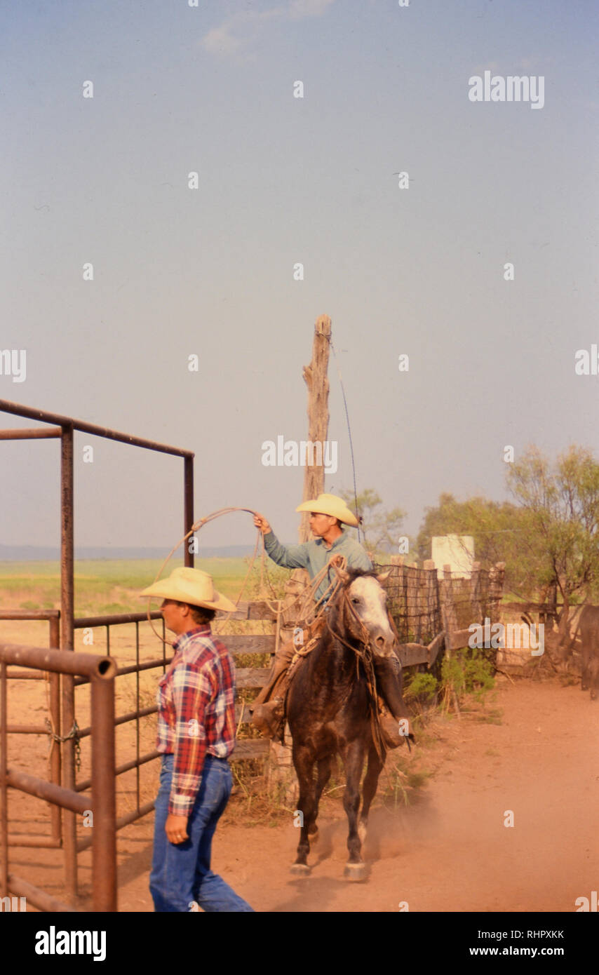 Real texan cowboys hi-res stock photography and images - Alamy