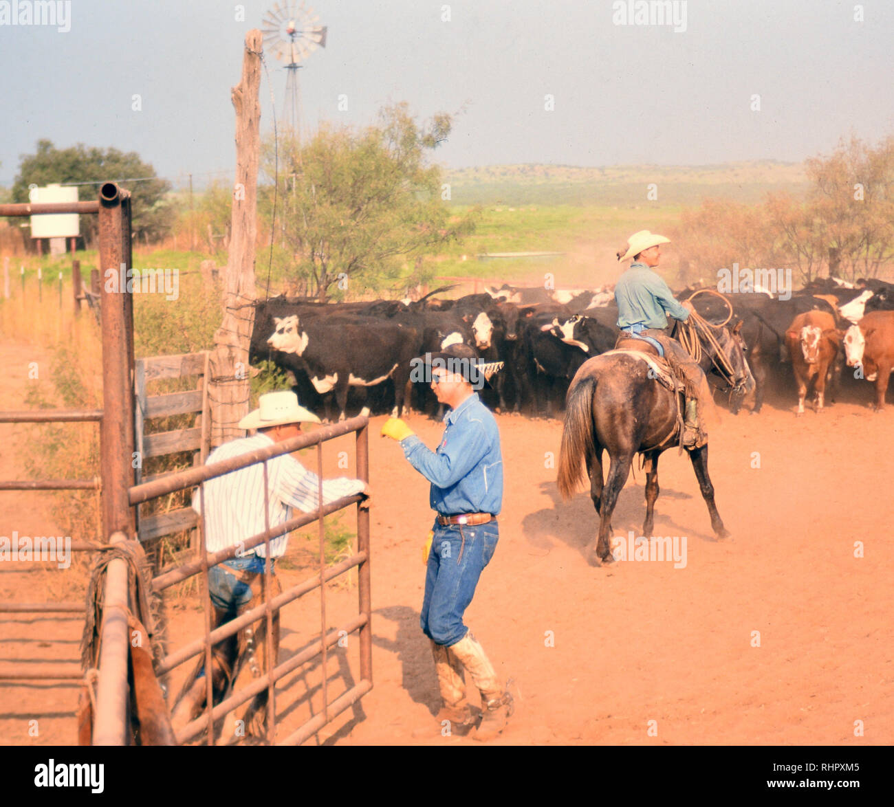 Real texan cowboys hi-res stock photography and images - Alamy