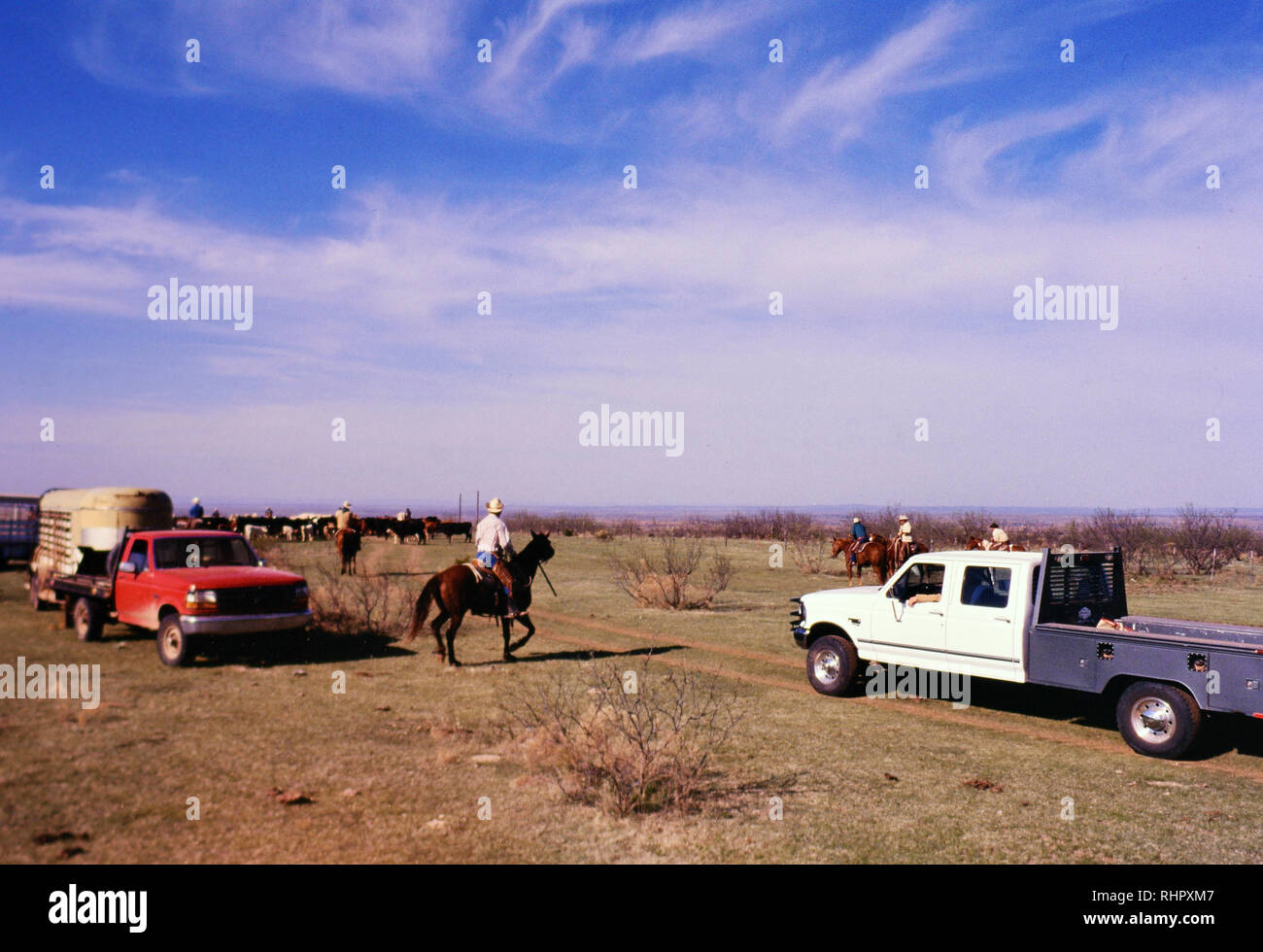 Cowboys on a ranch at branding time on a Texas ranch late 1990s Stock ...