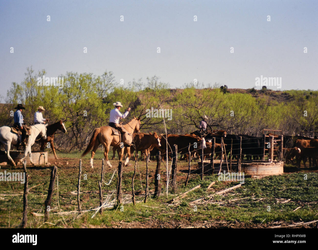 Real texan cowboys hi-res stock photography and images - Alamy