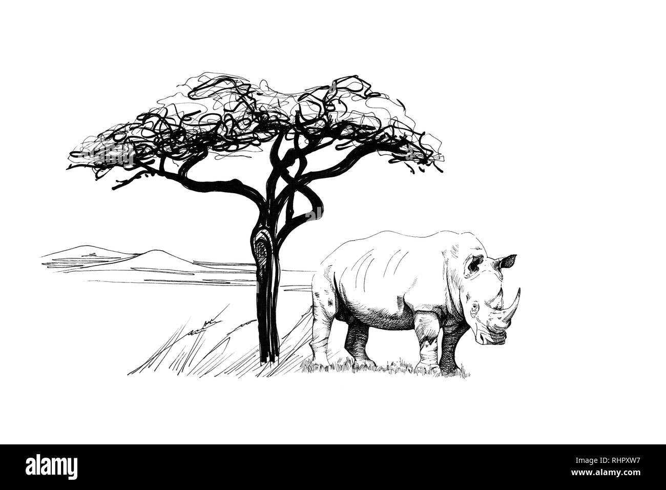 Rhino near a tree in africa. Hand drawn illustration. Collection of ...