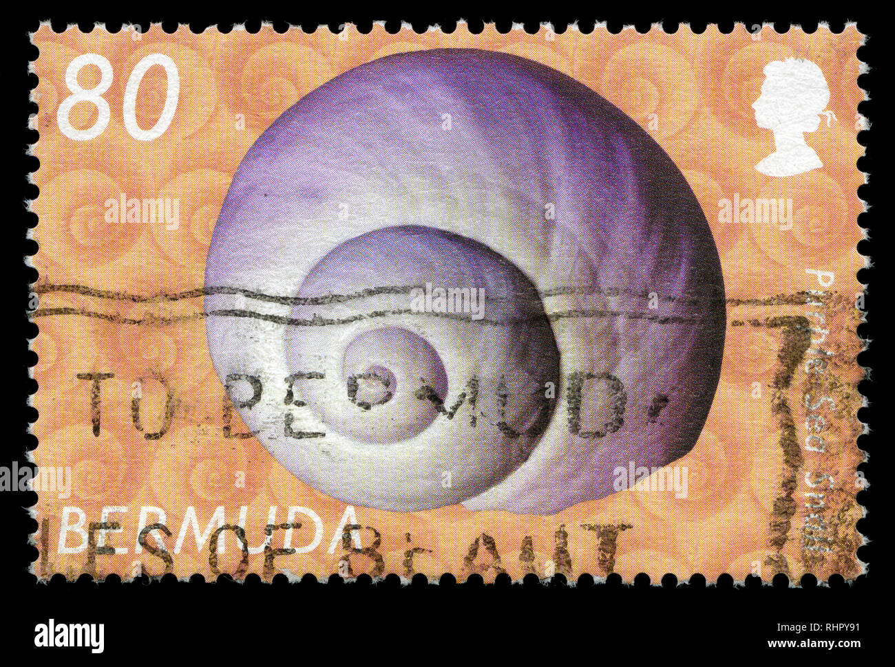 Postage stamp from Bermuda in the Shells (definitives) series issued in ...